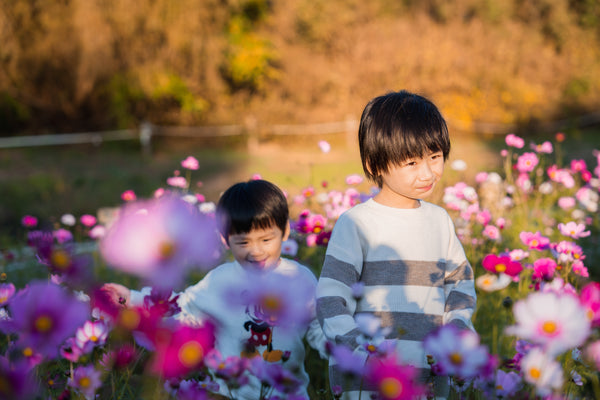 Golden Hour Faimly Photo | Faimly Photo | KaChick